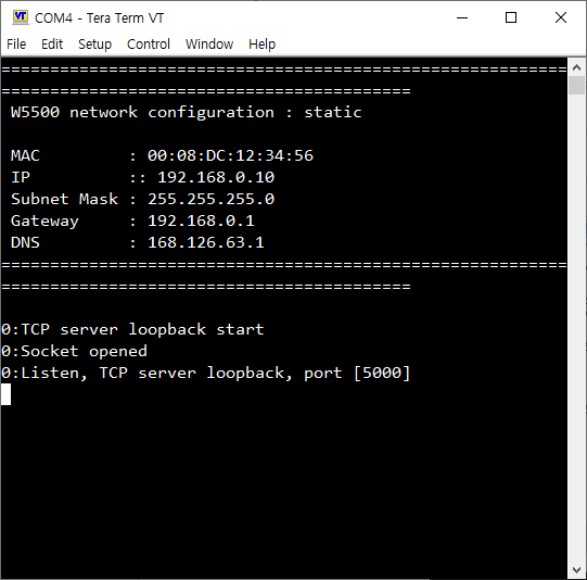 W55RP20-EVB-PICO Loopback example