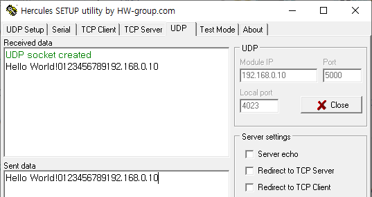 W55RP20-EVB-PICO Loopback example