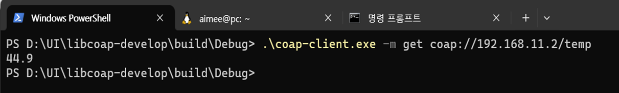 RP2040 FreeRTOS COAP