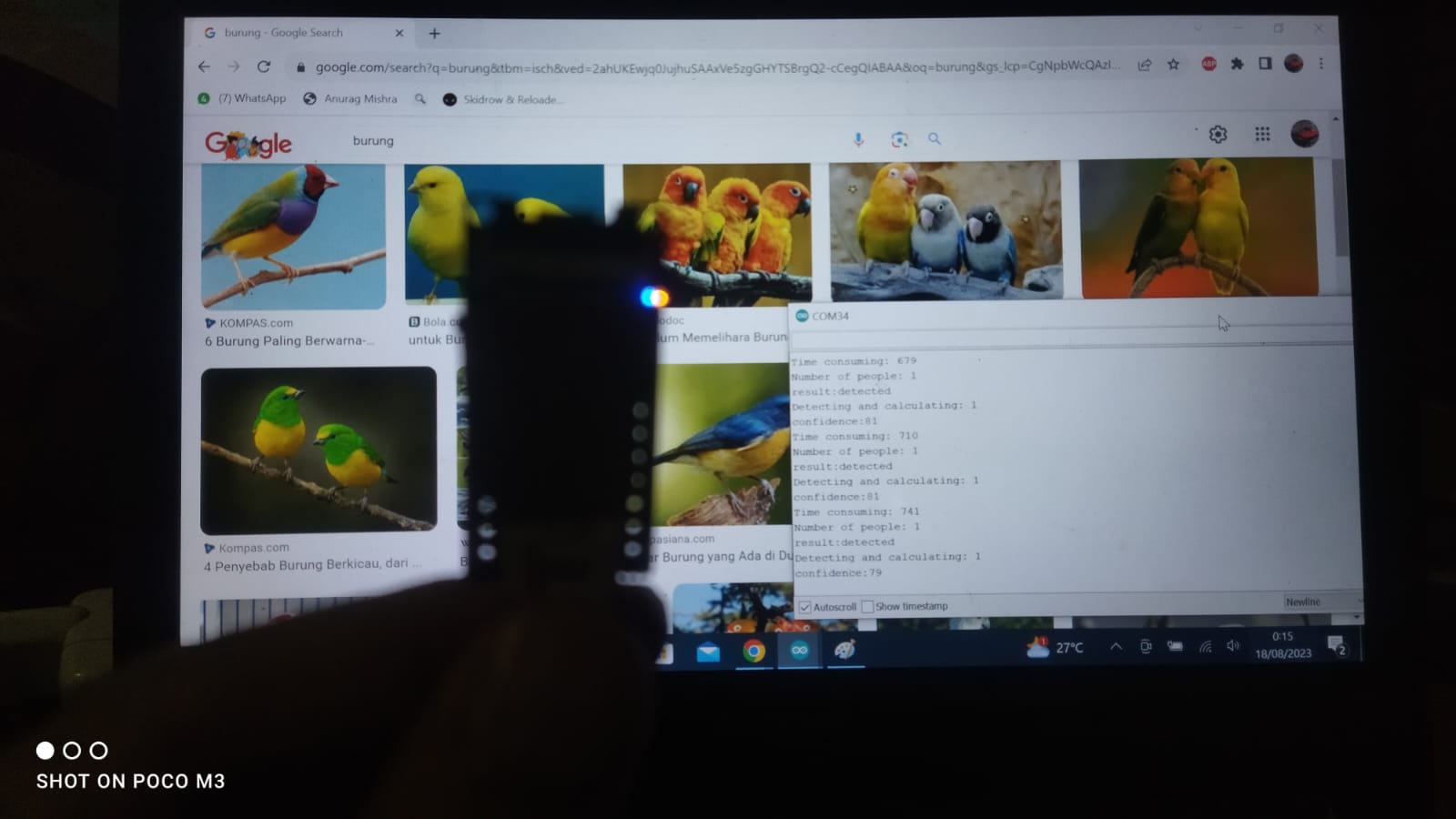 TinyML Based Bird watcher