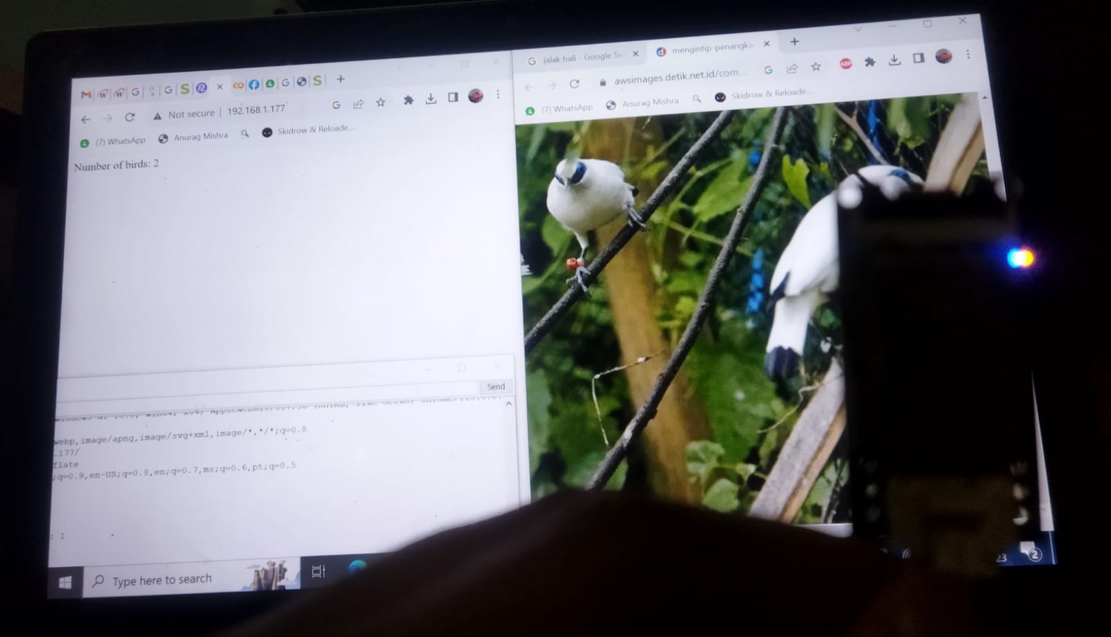 TinyML Based Bird watcher