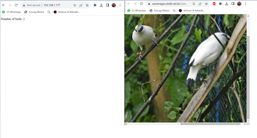 TinyML Based Bird watcher